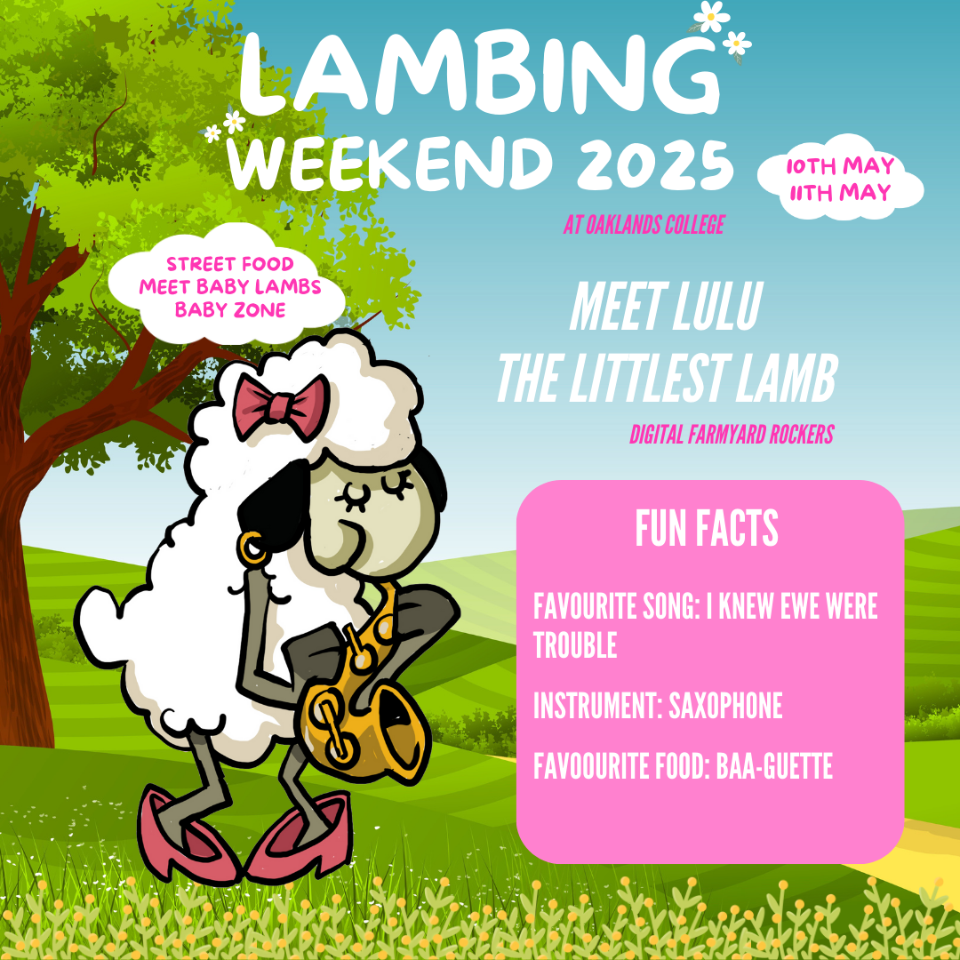 Oaklands College | Lambing Weekend May 2025